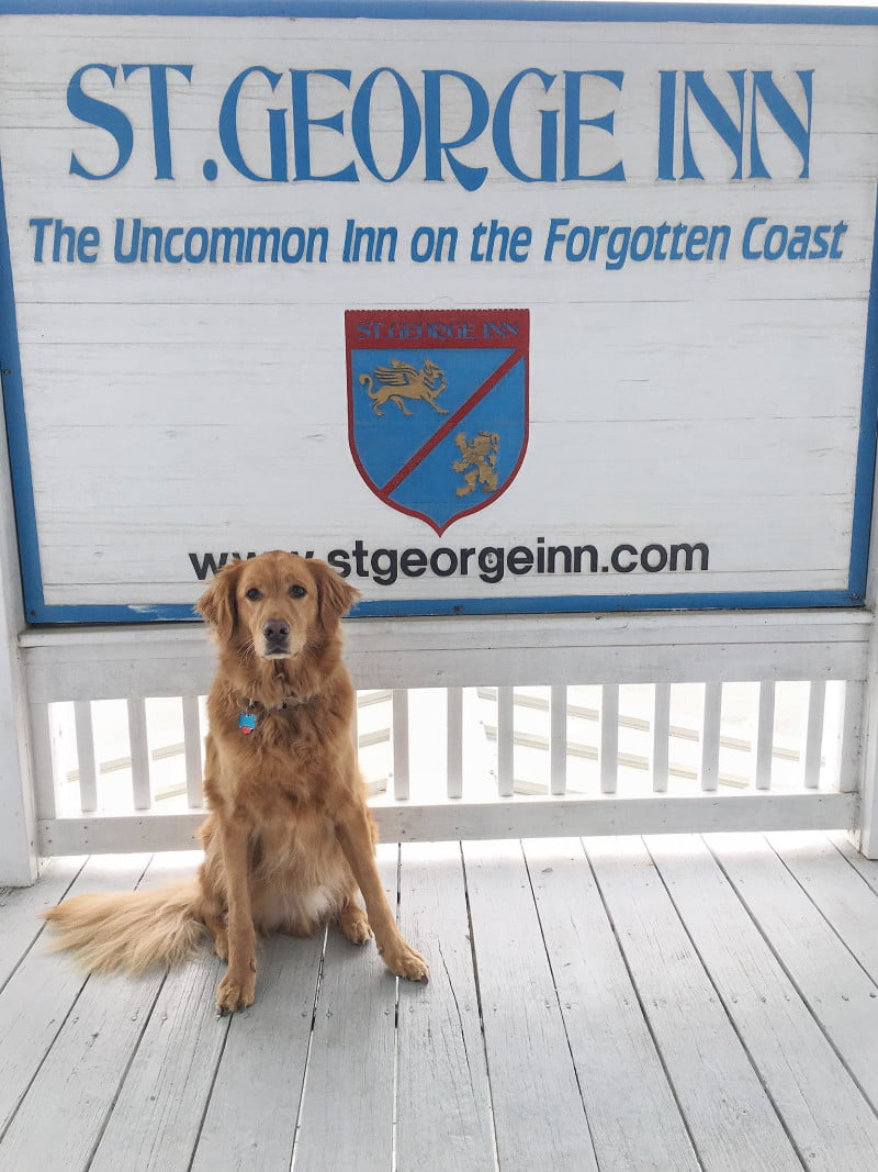 Photos of the St. George Inn and St. George Island, Florida